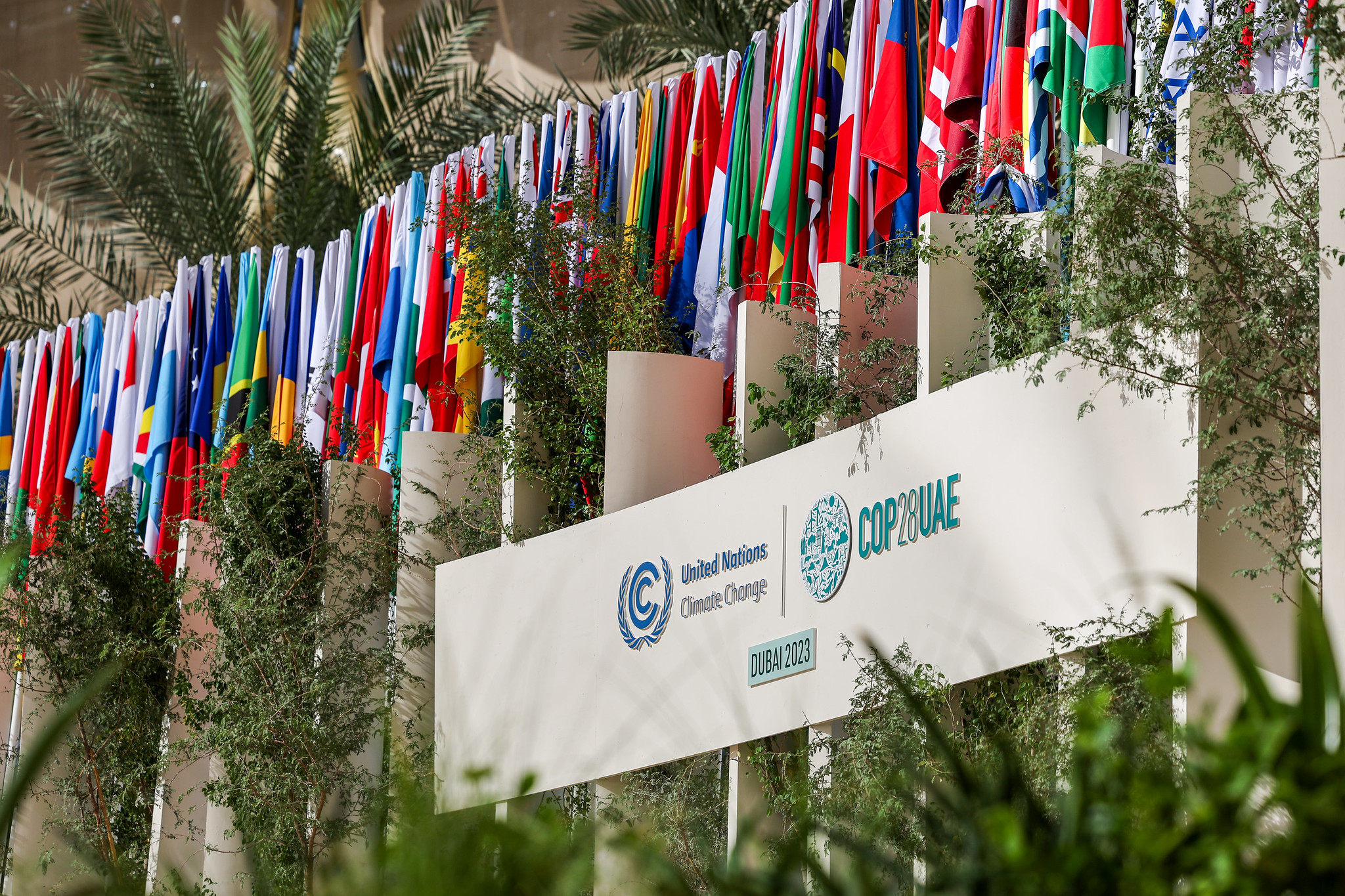 COP28 - Thoughtful Journalism About Energy's Future